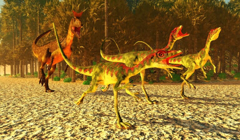 Compsognathus Animal Facts - Compsognathus - A-Z Animals