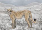 7 Extinct Big Cats - A-Z Animals