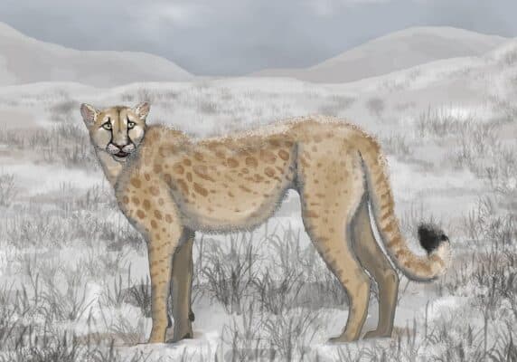 7 Extinct Ice Age Animals - A-Z Animals