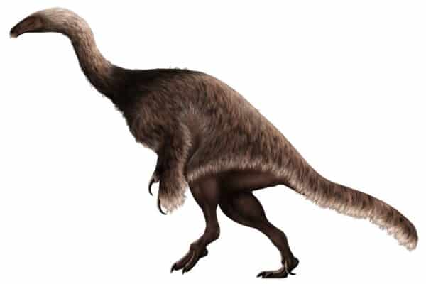 Meet The 5 Cutest Dinosaurs In The World That You've Never Heard Of - A ...