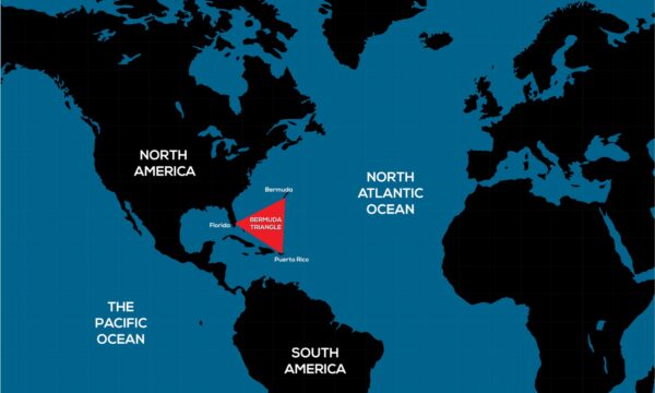 What Lives At The Bottom of The Bermuda Triangle? - A-Z Animals