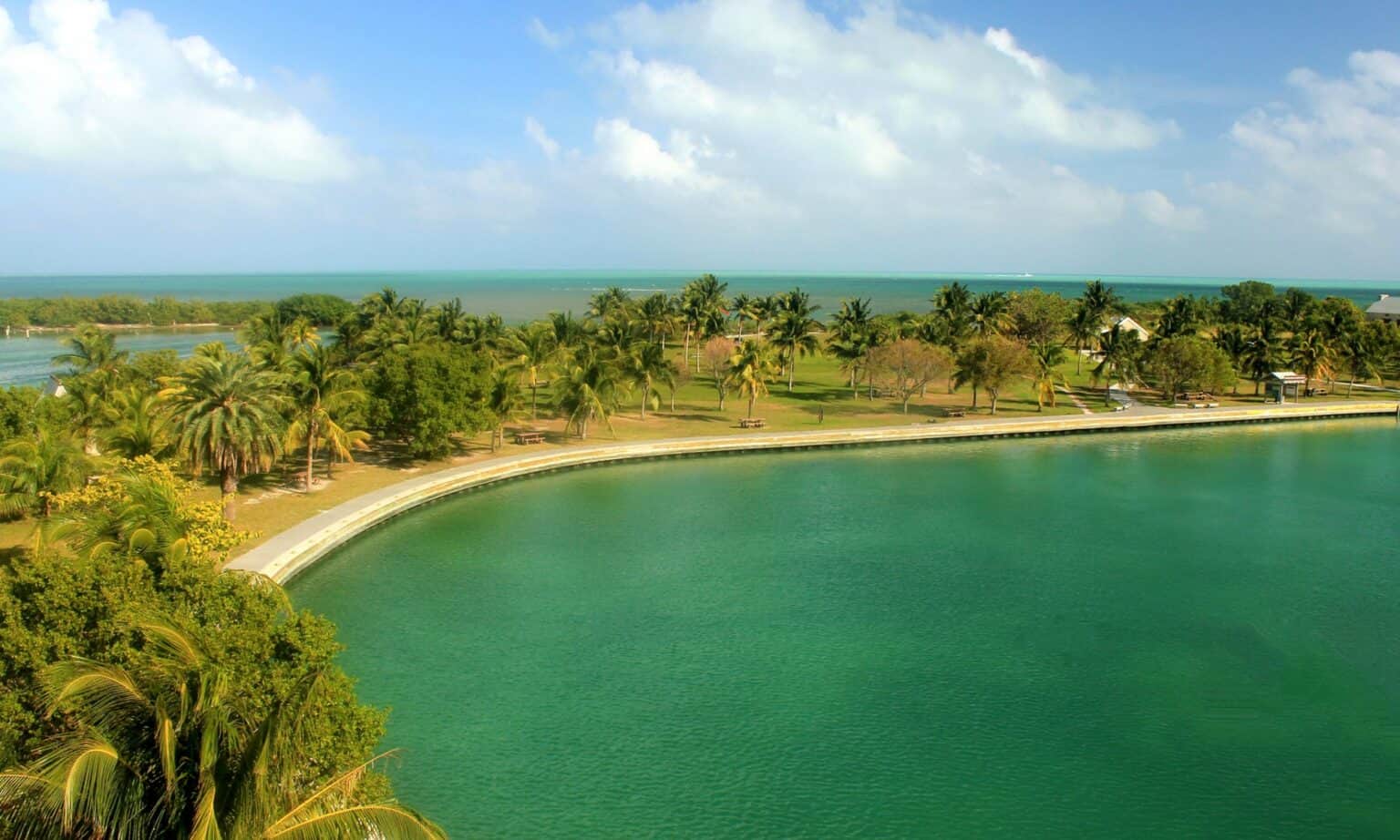 The Complete Guide to Wildlife at Biscayne National Park - A-Z Animals