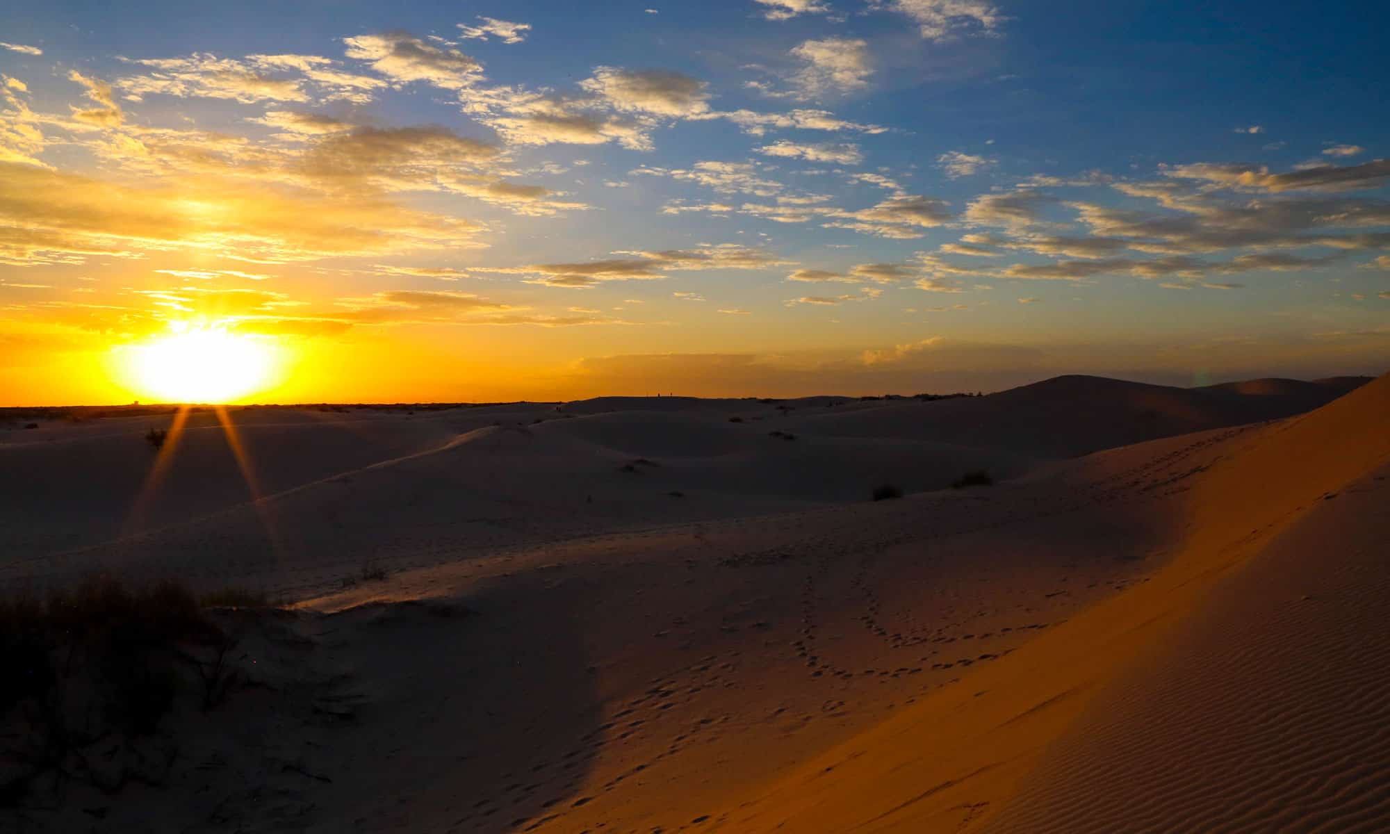 Sand Dunes in Texas - A-Z Animals