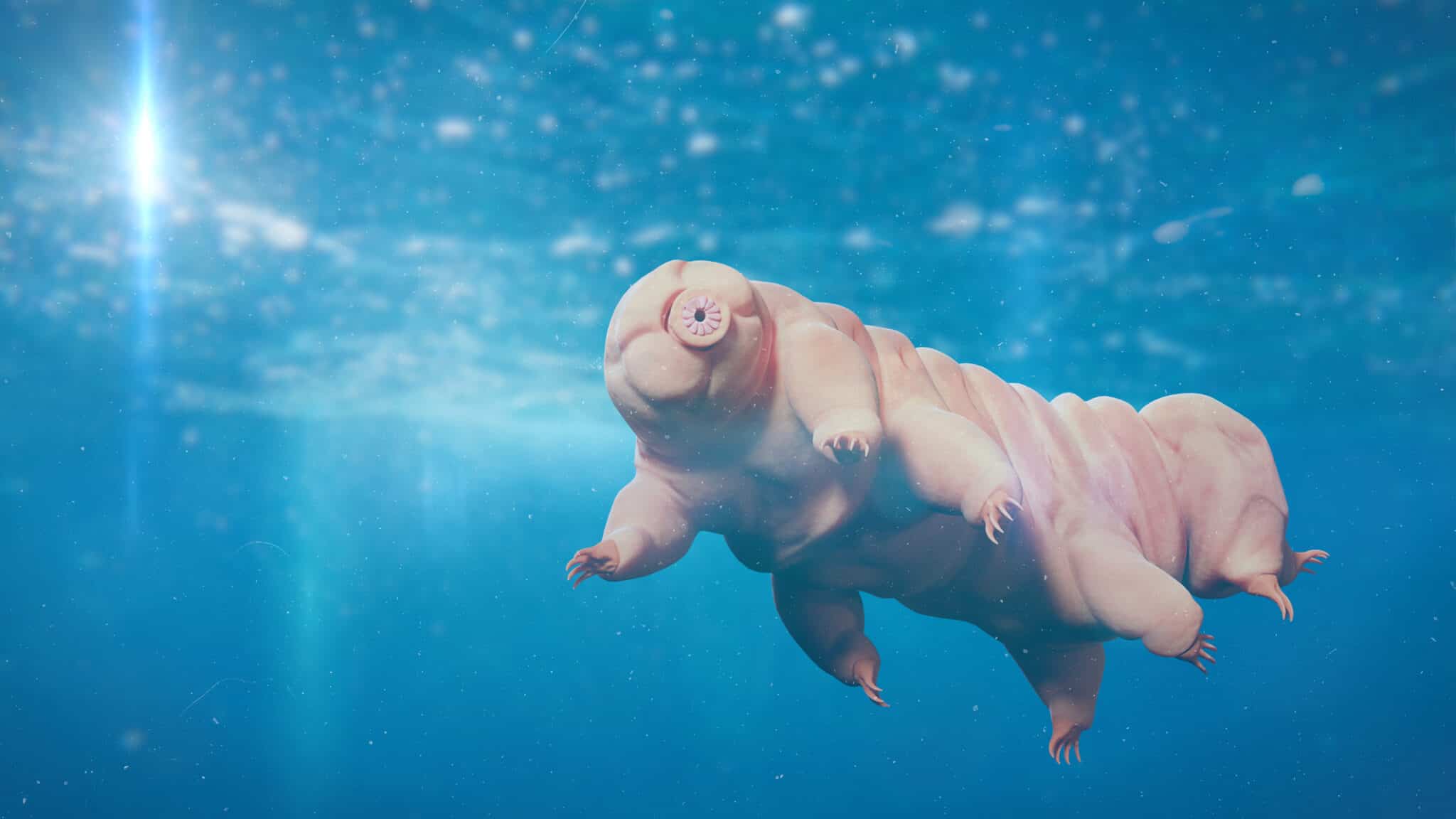 Terrifying Deep Sea Creatures You've Probably Never Seen - A-Z Animals Slideshows