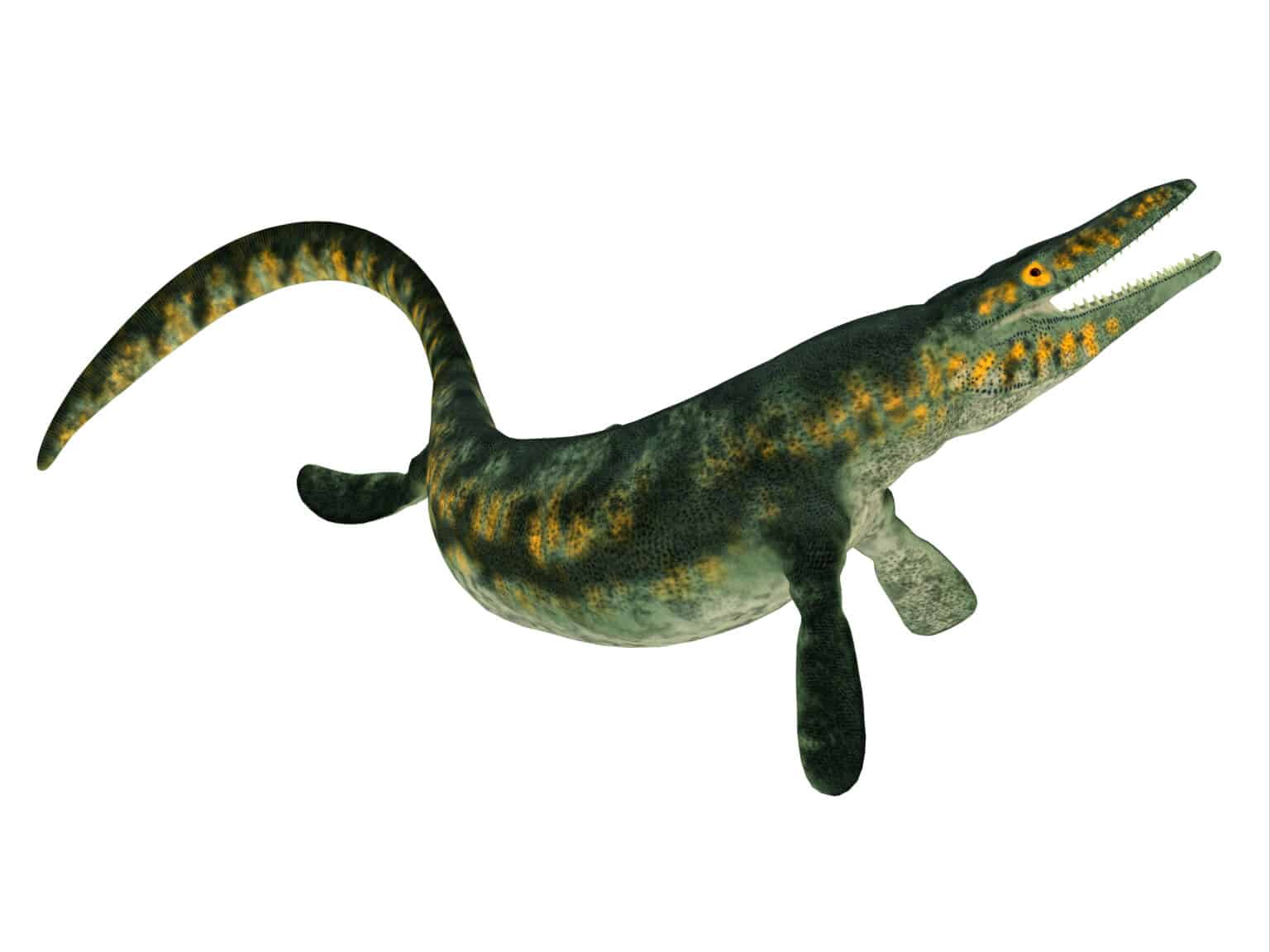 Ancient Oddities: 8 Extinct Sea Creatures - A-Z Animals