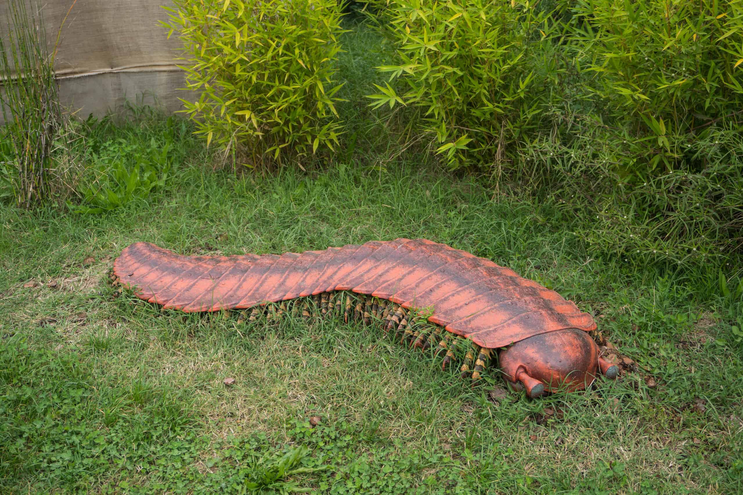 The 8 Foot Long Giant Millipede That Once Roamed the Earth - A-Z Animals