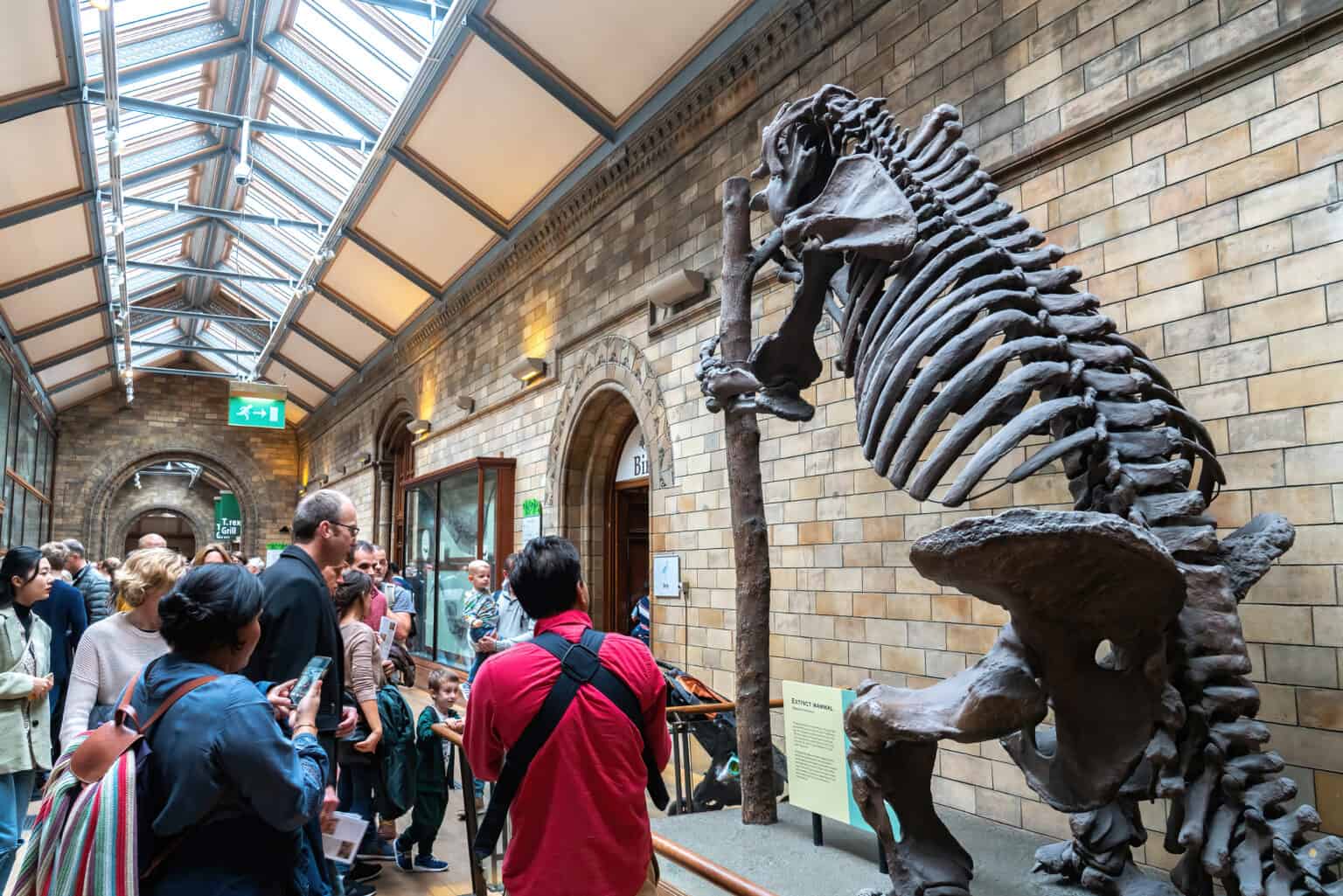 Why Did the Giant Sloth Go Extinct? - A-Z Animals