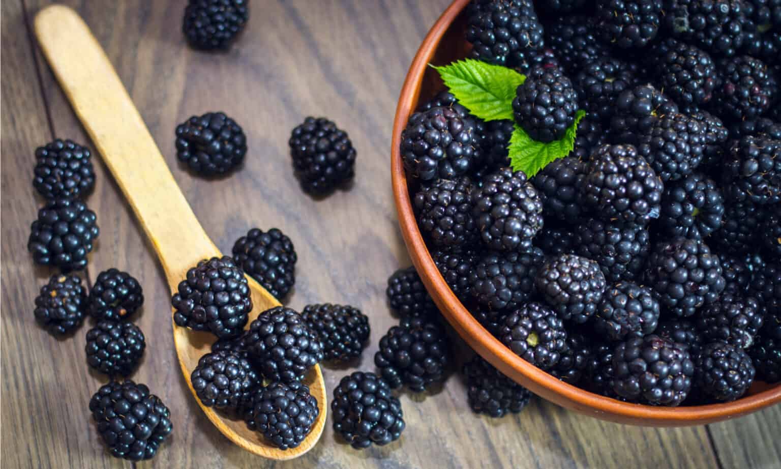 Boysenberry vs Blackberry: Is There a Difference? - A-Z Animals