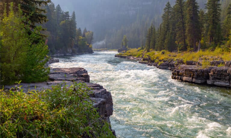 How Deep Is the Snake River? - A-Z Animals