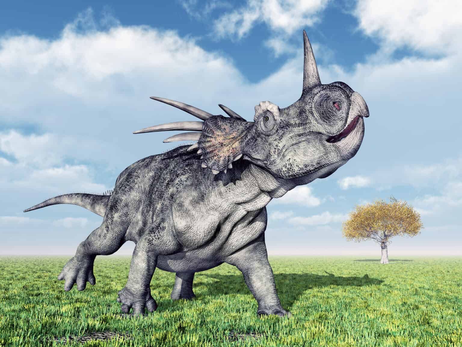 The Largest Spiked Lizard Ever with 2 Foot Horns! - A-Z Animals