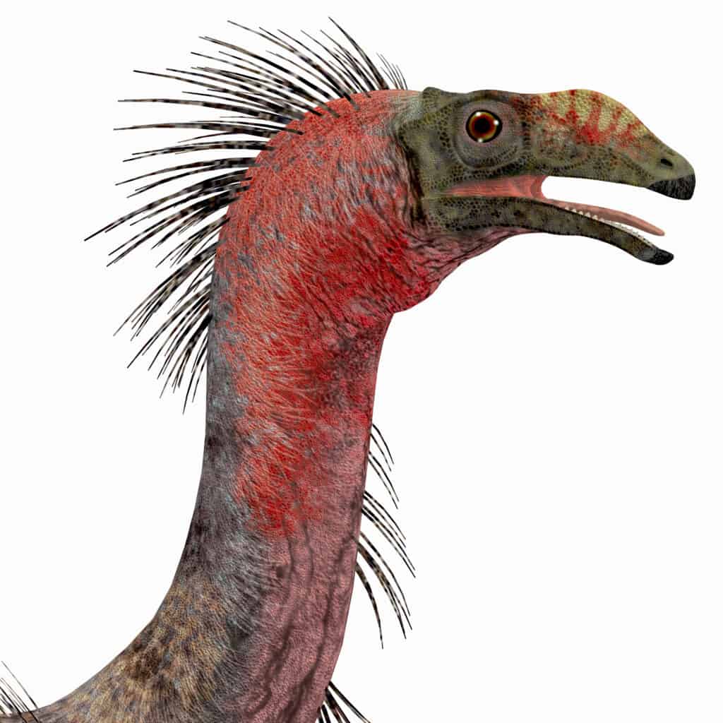 Therizinosaurus Animal Facts - Therizinosaurus - A-Z Animals