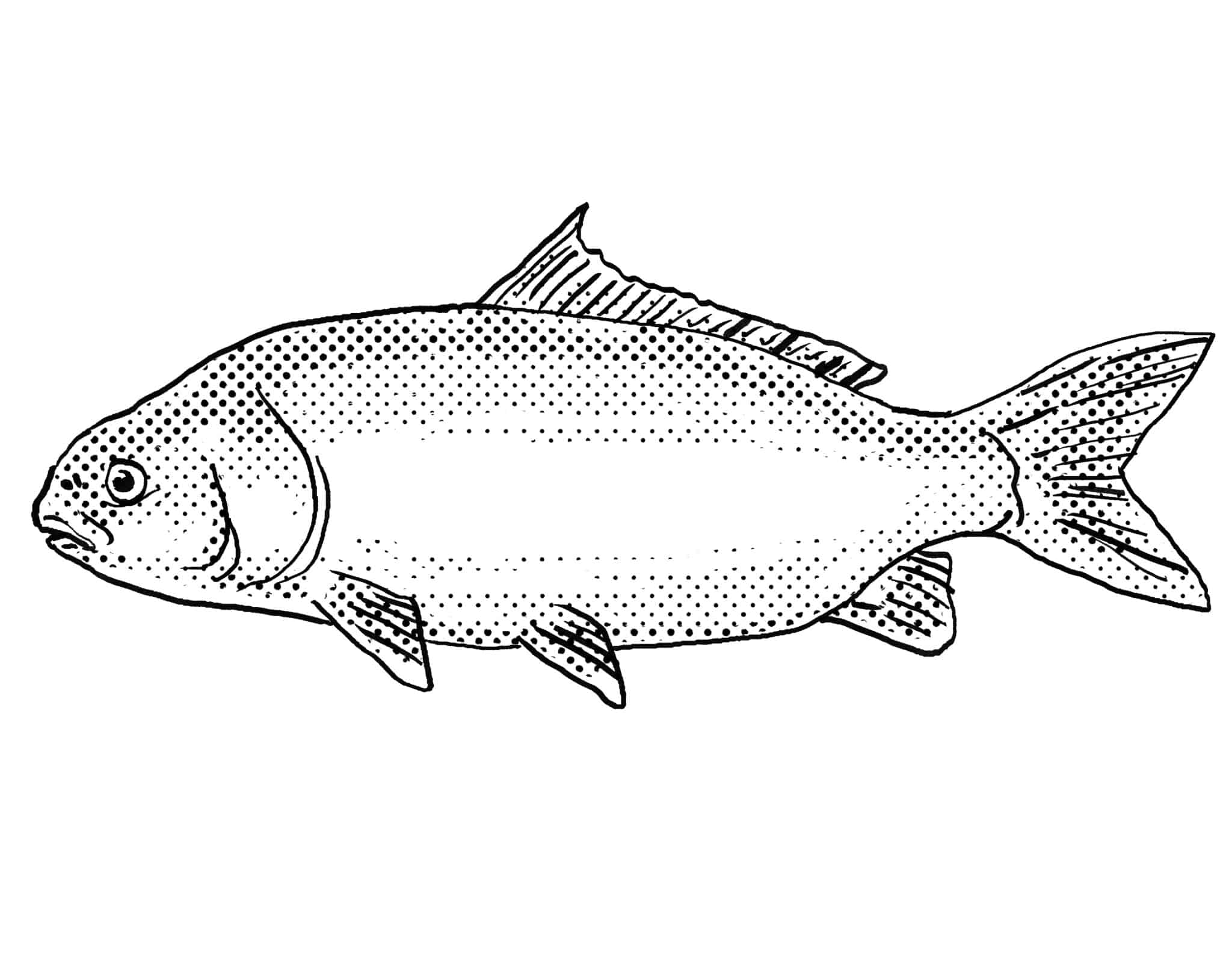 The Largest Longnose Gar Ever Caught in Michigan was a Prehistoric ...