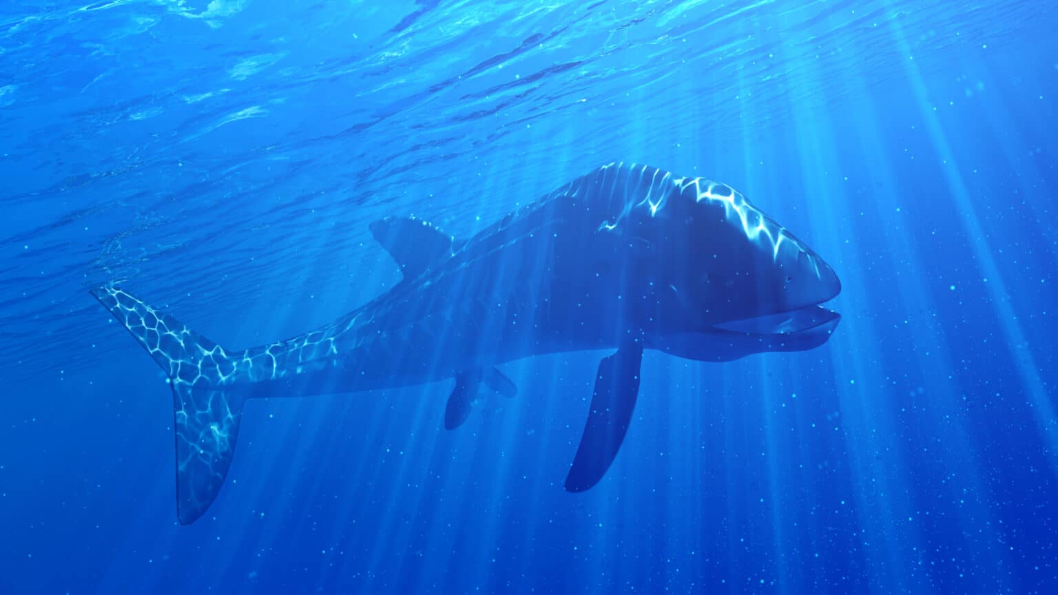 Leedsichthys Animal Facts - Leedsichthys problematicus - A-Z Animals