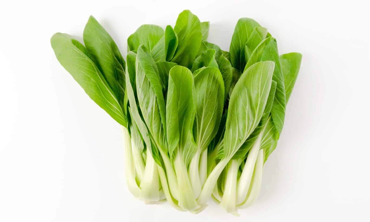 Pak Choi vs Bok Choy: Is There a Difference? - A-Z Animals