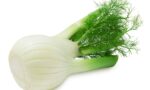 Fennel vs Dill: Is There a Difference? - A-Z Animals