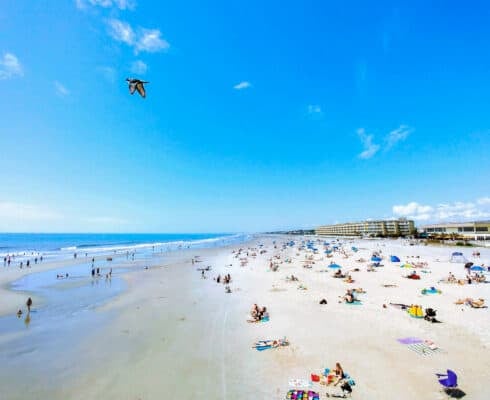 The 9 Most Shark-Infested Beaches On Earth - A-Z Animals