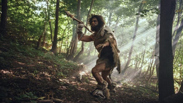 Meet All 12 Animals in the Ice Age Movie - A-Z Animals