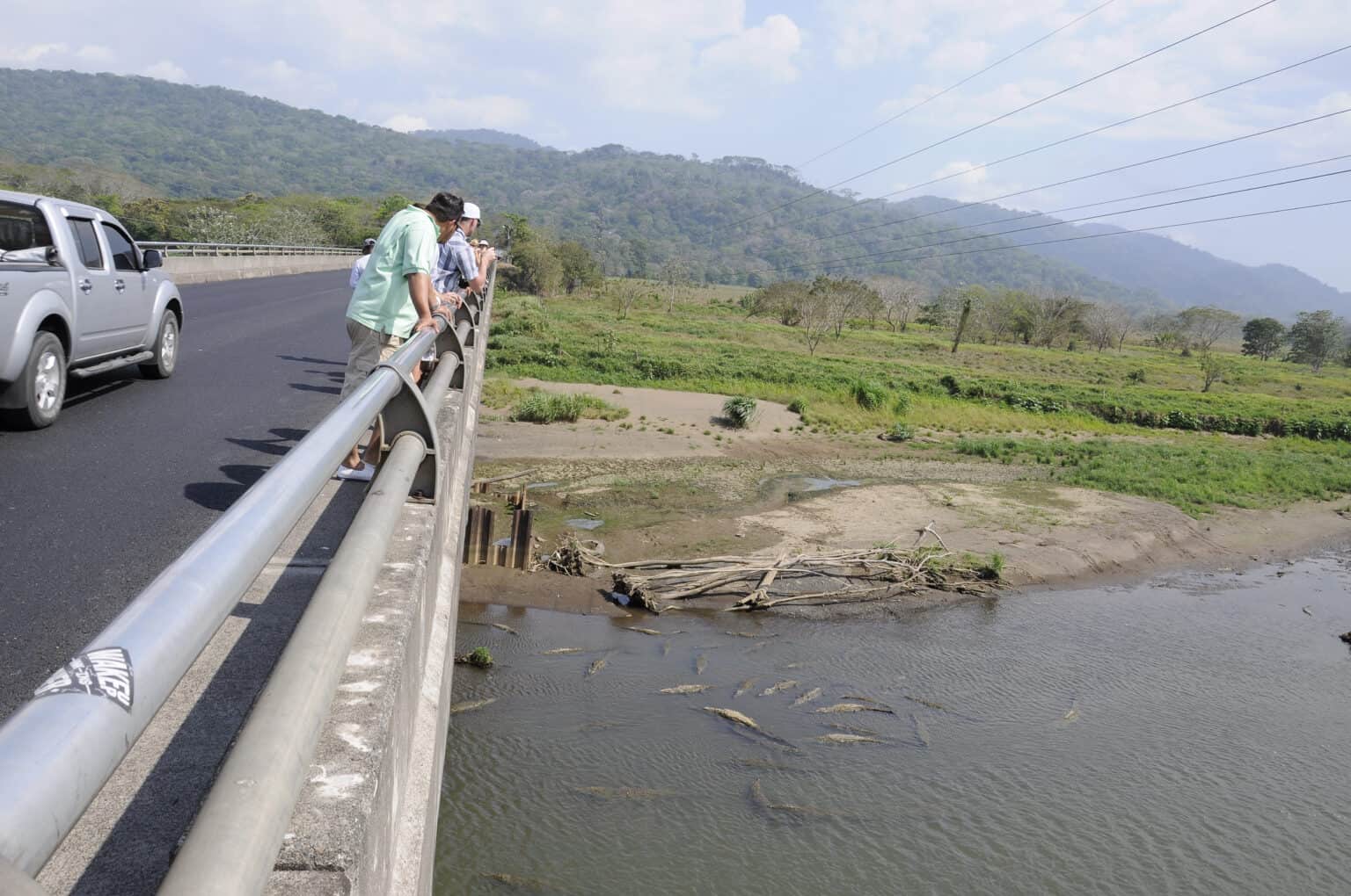 What is the World's Most Crocodile-Infested River? - A-Z Animals