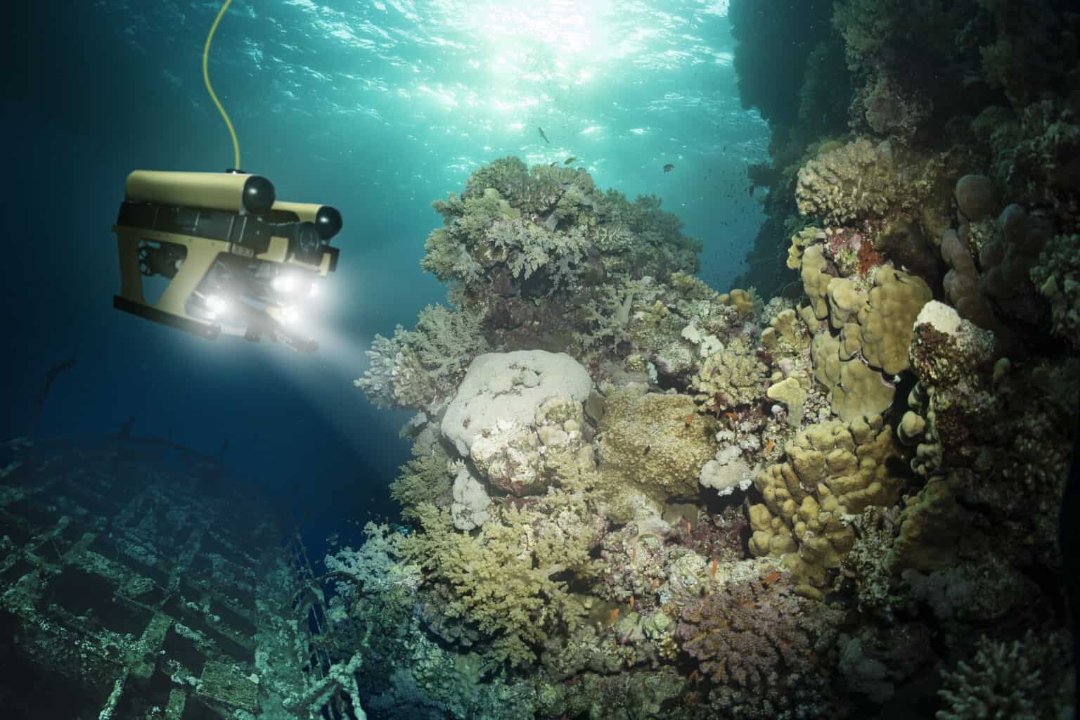28 New Species and Counting: How ROVs Are Finally Mapping the Last 80% ...