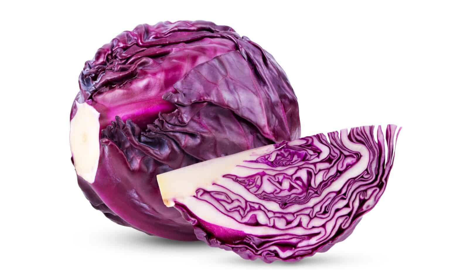 Radicchio vs Red Cabbage: 5 Key Differences - A-Z Animals