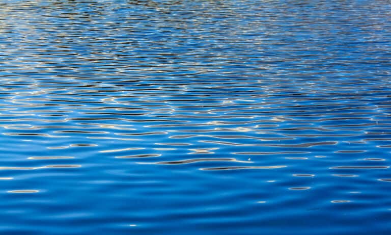 How Deep is Torch Lake? Discover Northern Michigan's Deepest Lakes - A ...