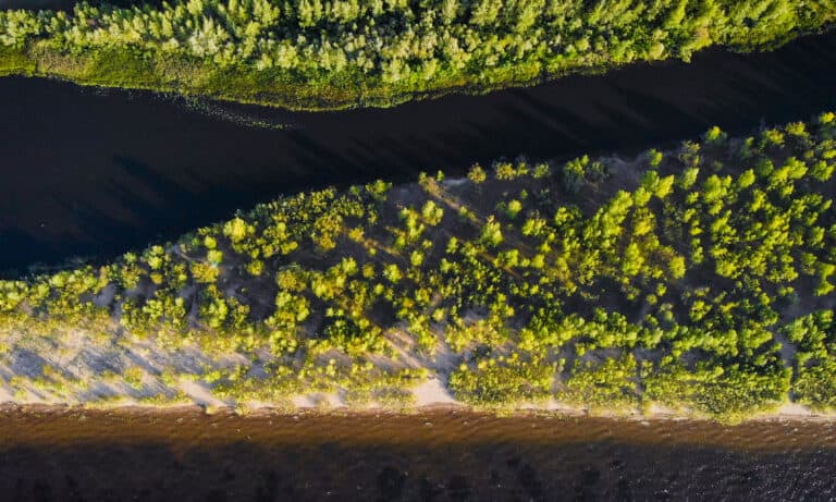 The Mississippi River Delta is Dying - A-Z Animals