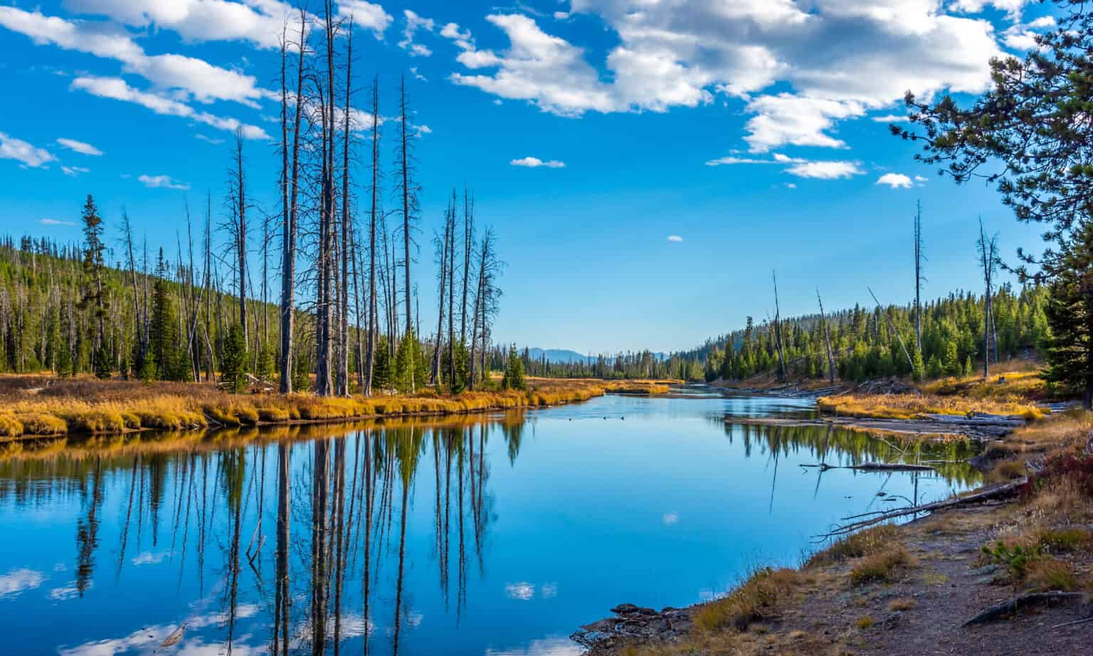 How Many Different Rivers Flow through Yellowstone National Park? - A-Z ...