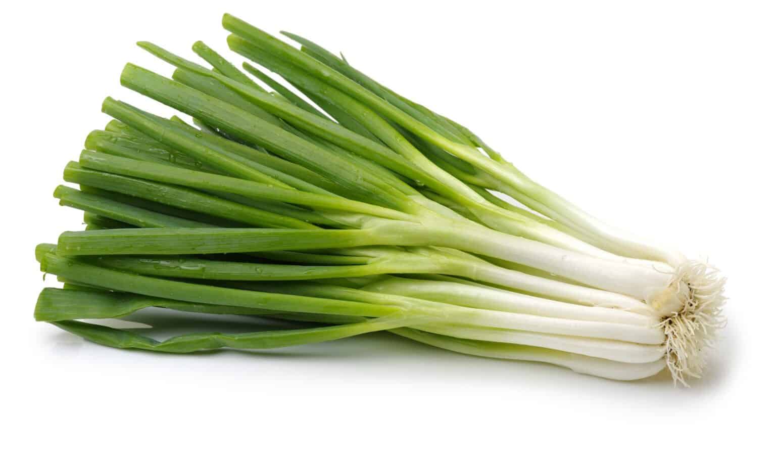 Spring Onion vs. Leek: Understanding the Differences - A-Z Animals
