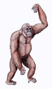 7 Prehistoric Primates You Should Know About - A-Z Animals