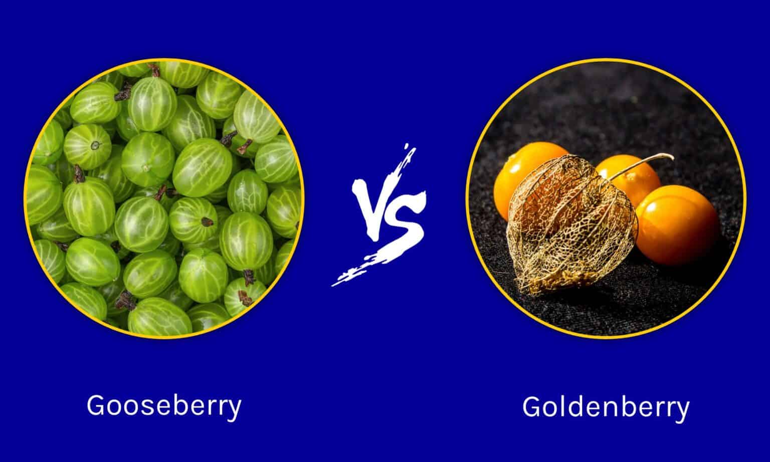 Gooseberry vs. Goldenberry: Is There a Difference? - A-Z Animals