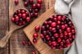 Discover 11+ Popular Types of Berries: How to Grow, Taste Profiles, and ...