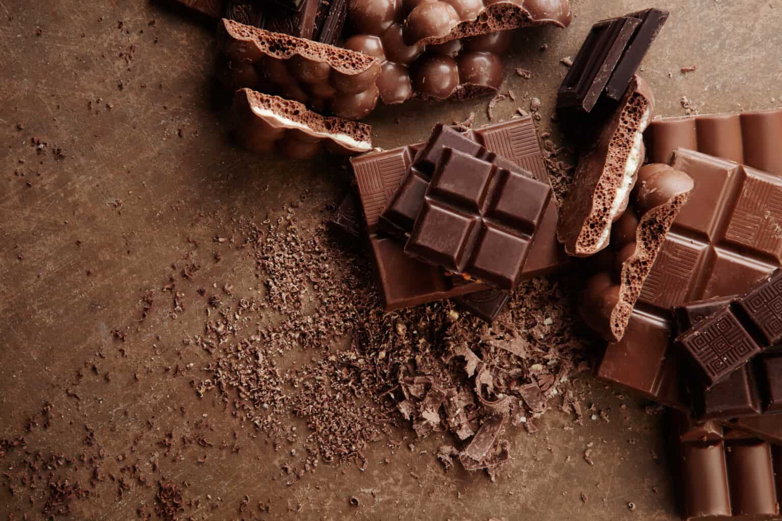 Discover Which Animals Can Eat Chocolate (And Which Ones Can't) - A-Z ...