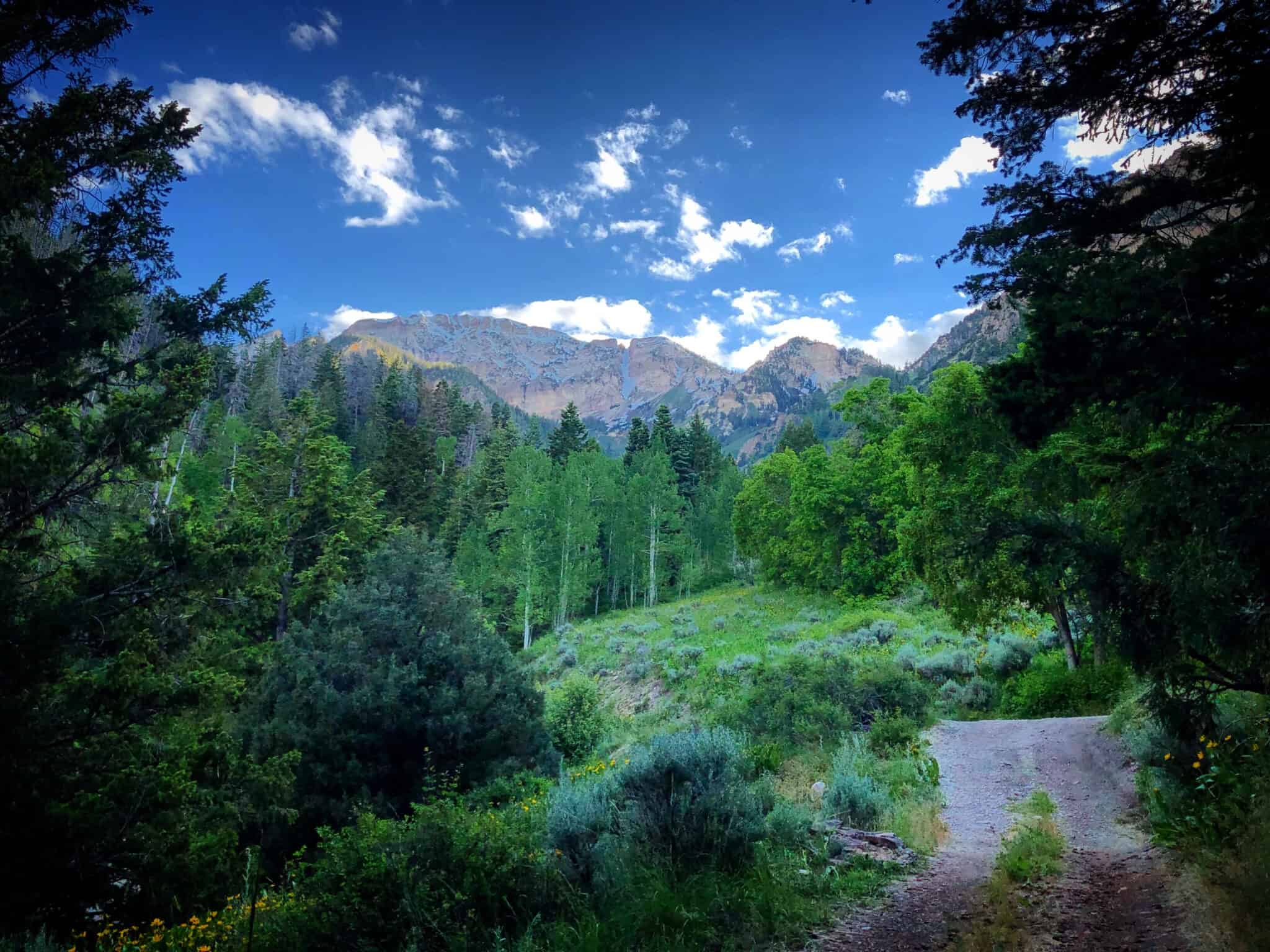 Mountains in Utah - A-Z Animals