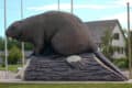 Giant Beaver Animal Facts - Castoroides - A-Z Animals