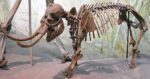 3 Extinct Species of Elephants - A-Z Animals