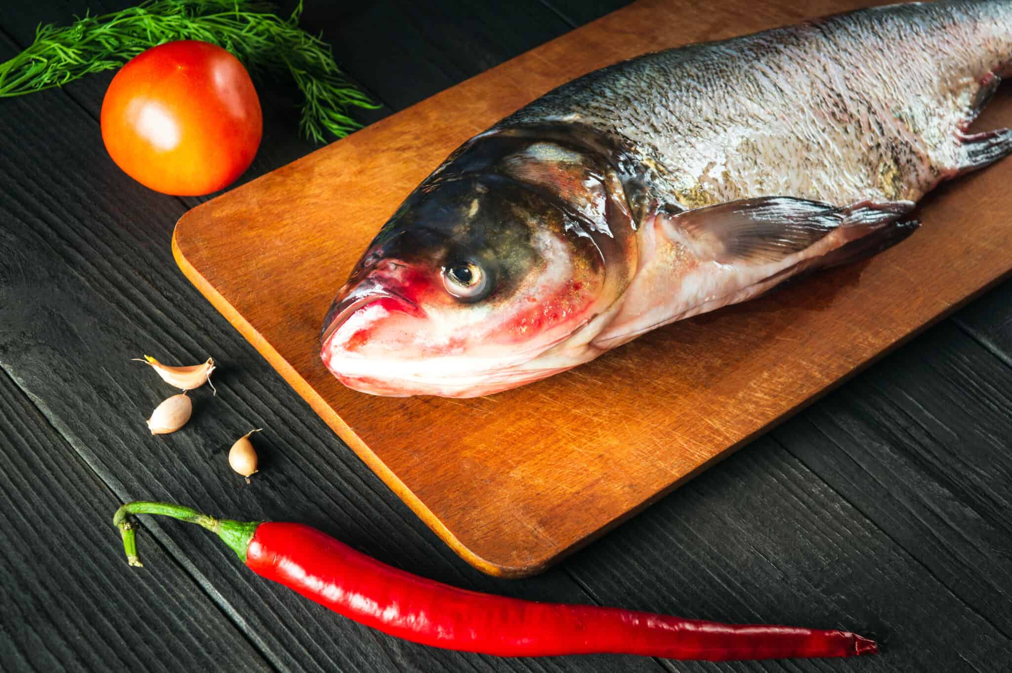 The Largest Bighead Carp Ever Caught in Wisconsin Was the Size of ...
