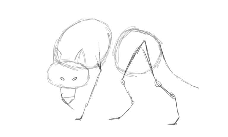 How To Draw A Wolf in 8 Easy Steps - A-Z Animals