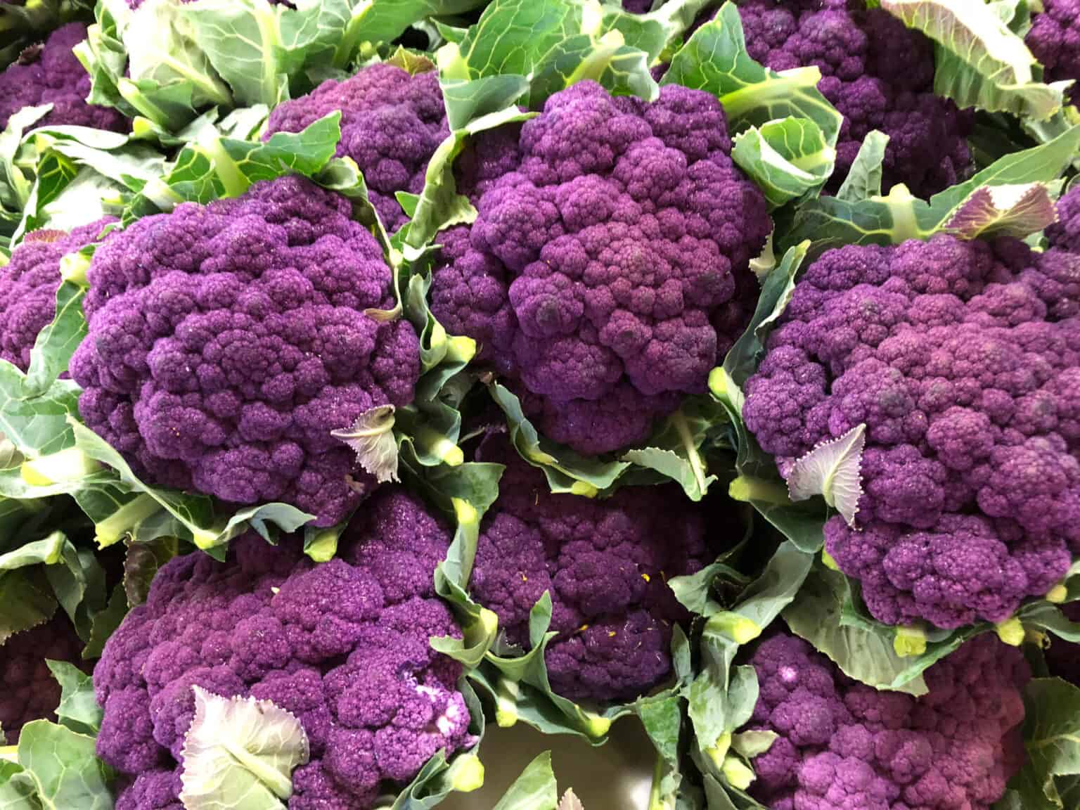 Purple Cauliflower vs White Cauliflower: How Different Are They? - A-Z ...