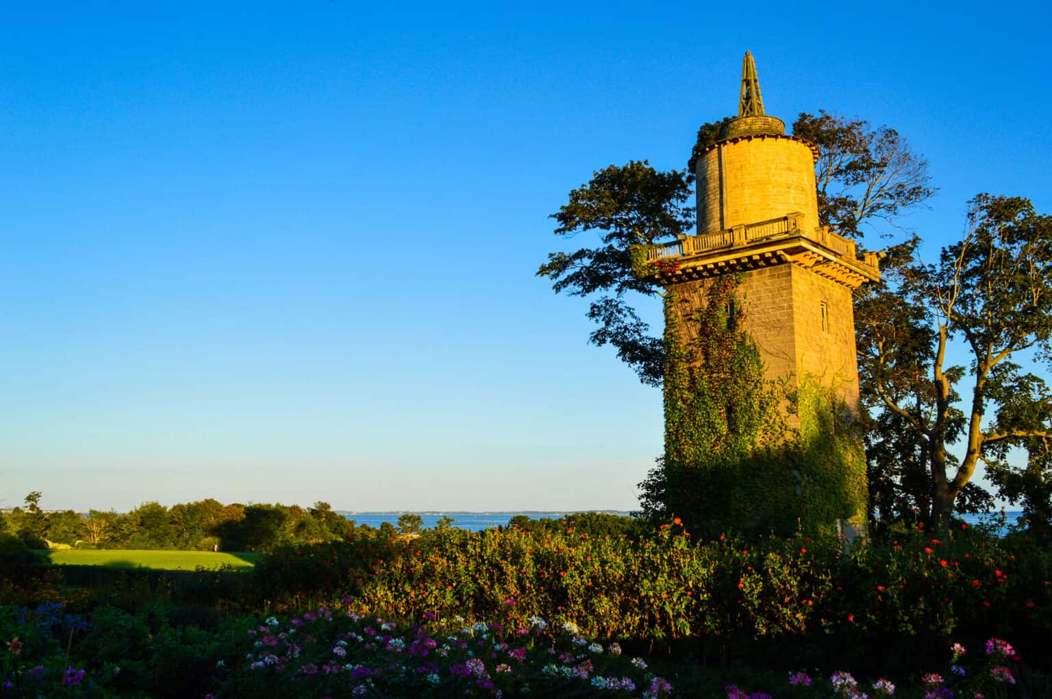 Birdwatching in Connecticut: A Top-notch Destination for Coastal and ...