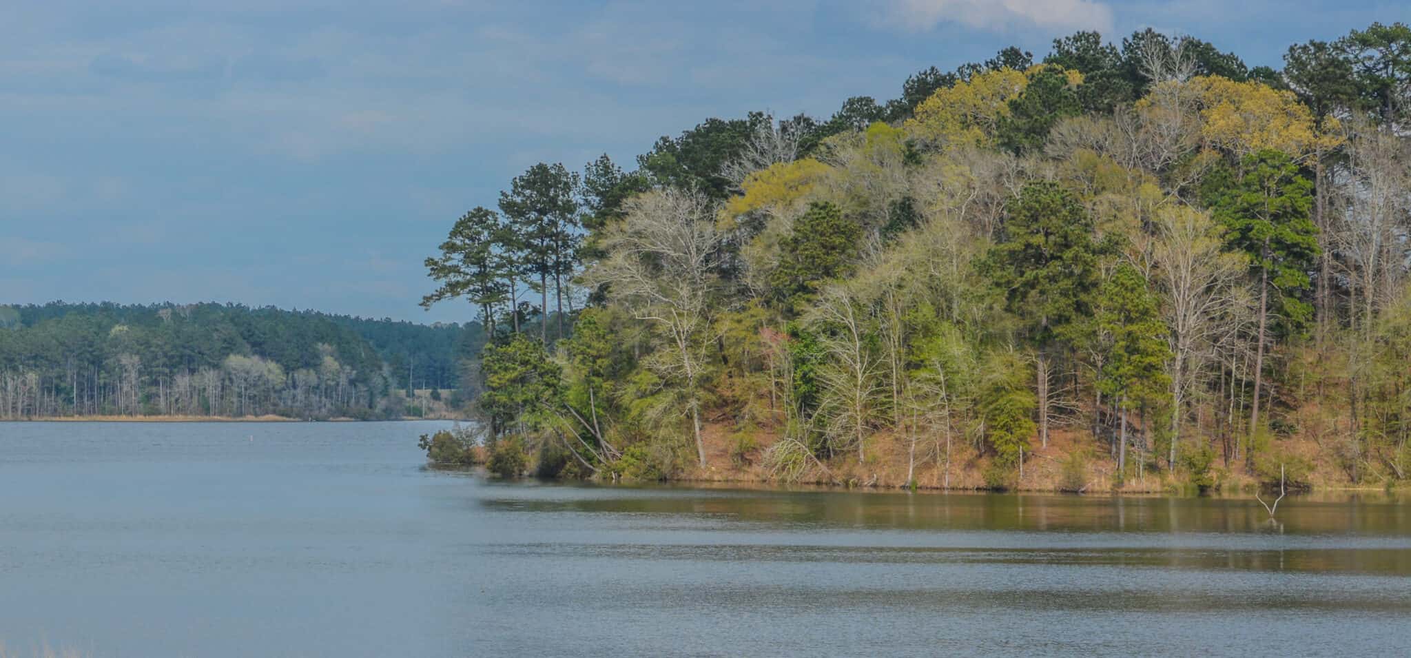 Discover the Deepest Lake in Mississippi - A-Z Animals