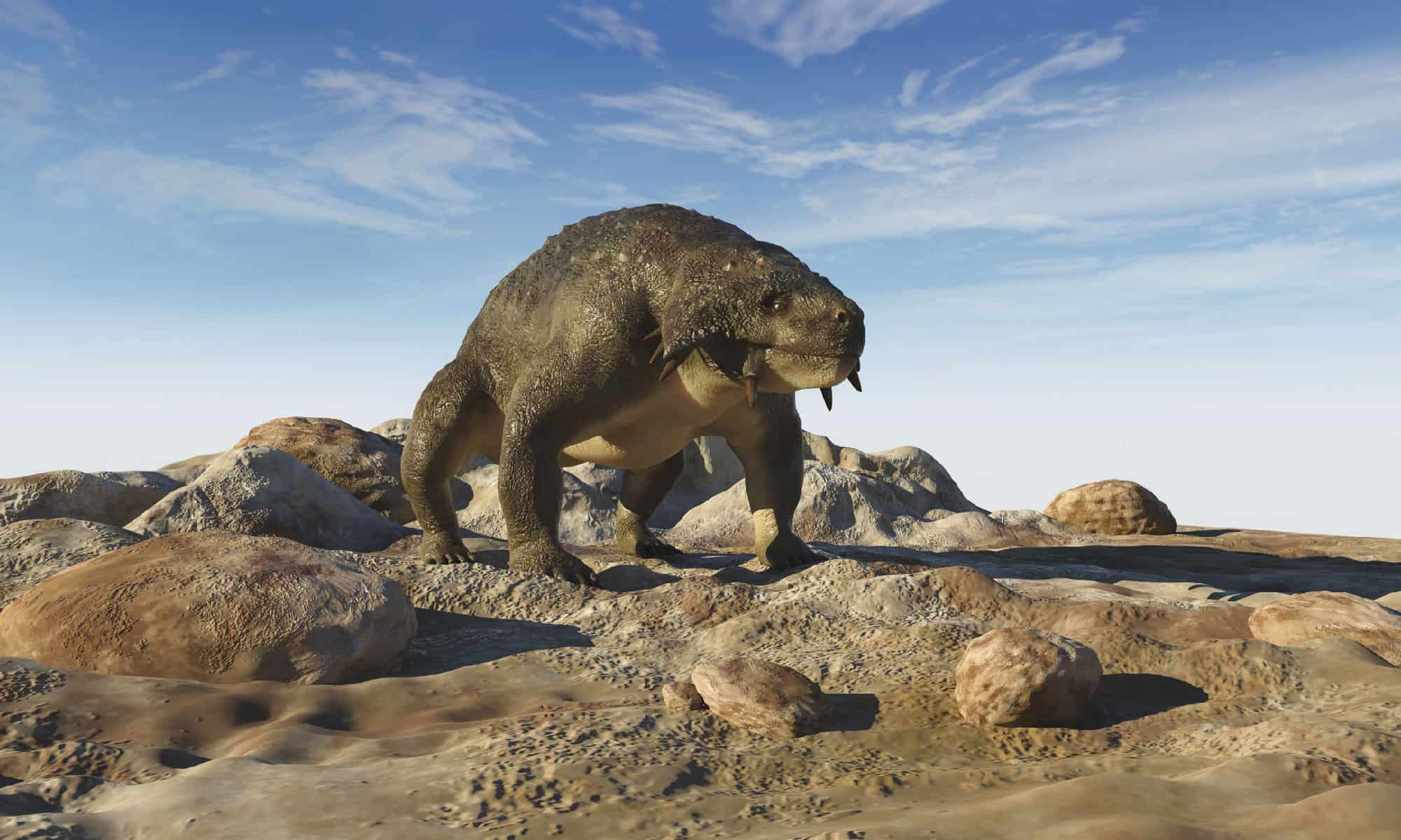 Scutosaurus Animal Facts Scutosaurus Karpinskii A Z Animals