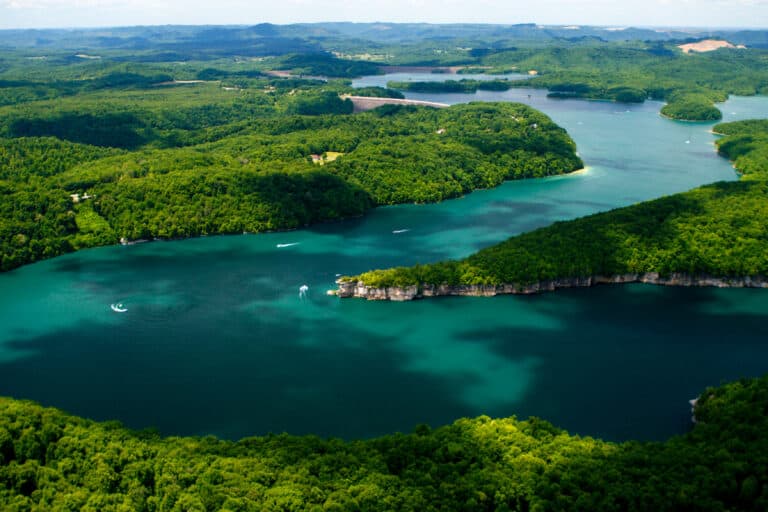 Summersville Lake Fishing, Size, Depth, And More - A-Z Animals