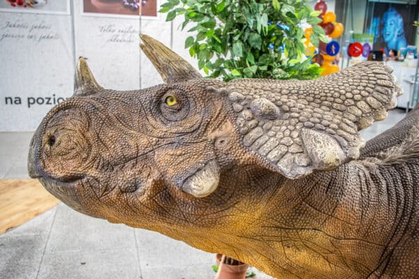 10 Dinosaurs With Horns - A-Z Animals