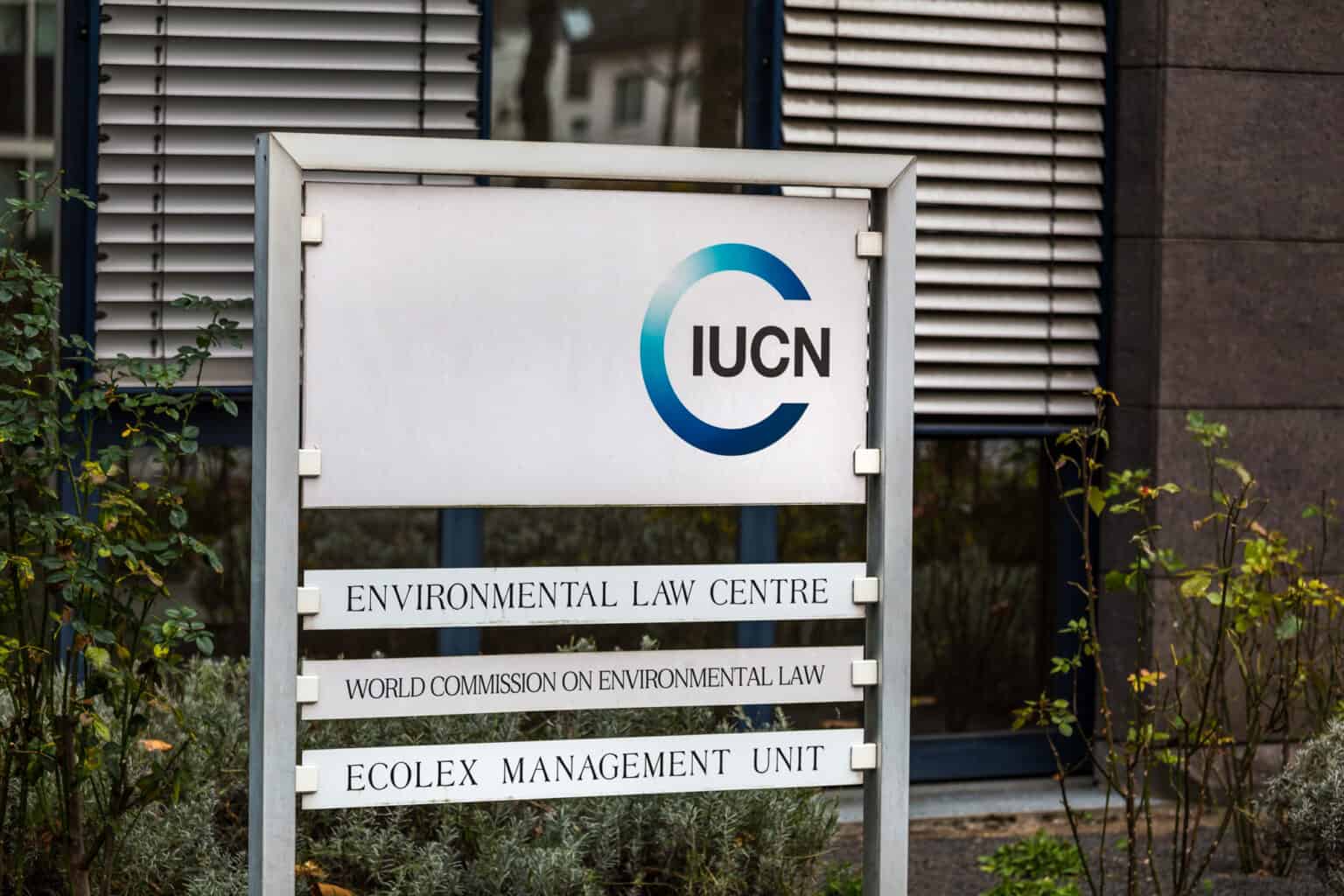 Red-Bellied Black Snake Animal Facts - Pseudechis porphyriacus - A-Z ...