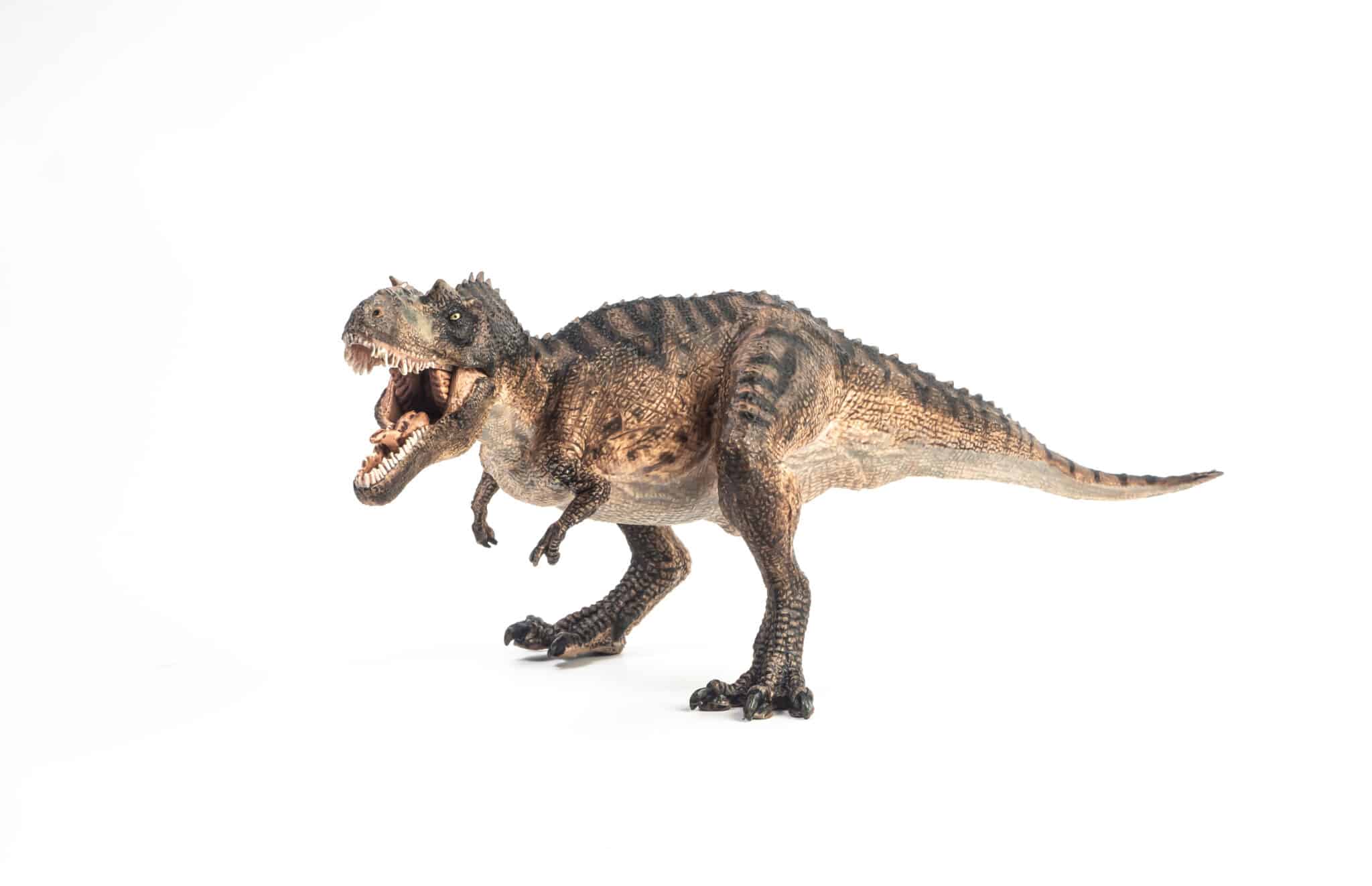 Gorgosaurus Animal Facts - Gorgosaurus - A-Z Animals