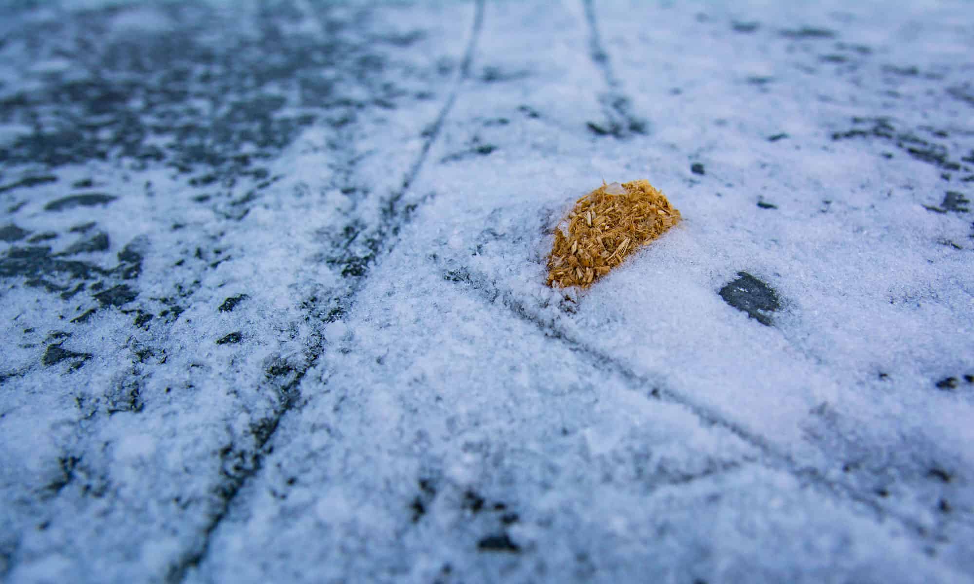 Muskrat Poop: Everything You've Ever Wanted to Know - A-Z Animals