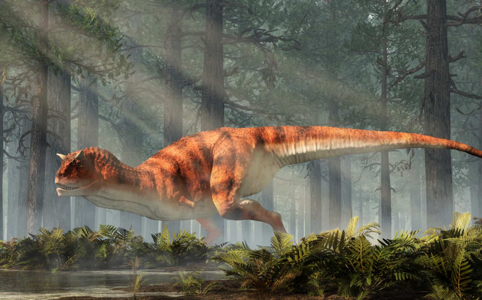 Discover the 11 Dinosaurs That Start with Q - A-Z Animals