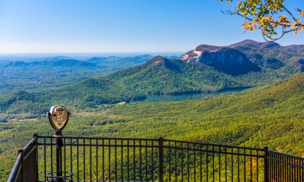 South Carolina's 10 Best Bird Watching Spots This Summer - A-Z Animals