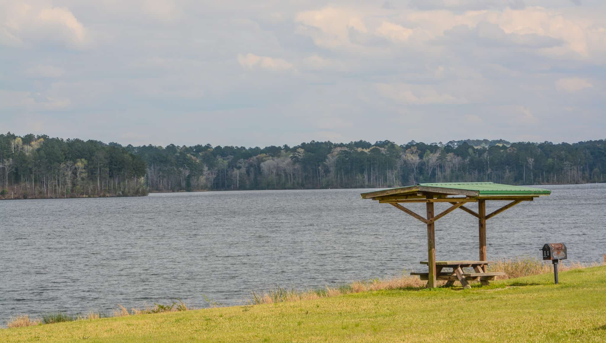 Discover the Deepest Lake in Mississippi - A-Z Animals