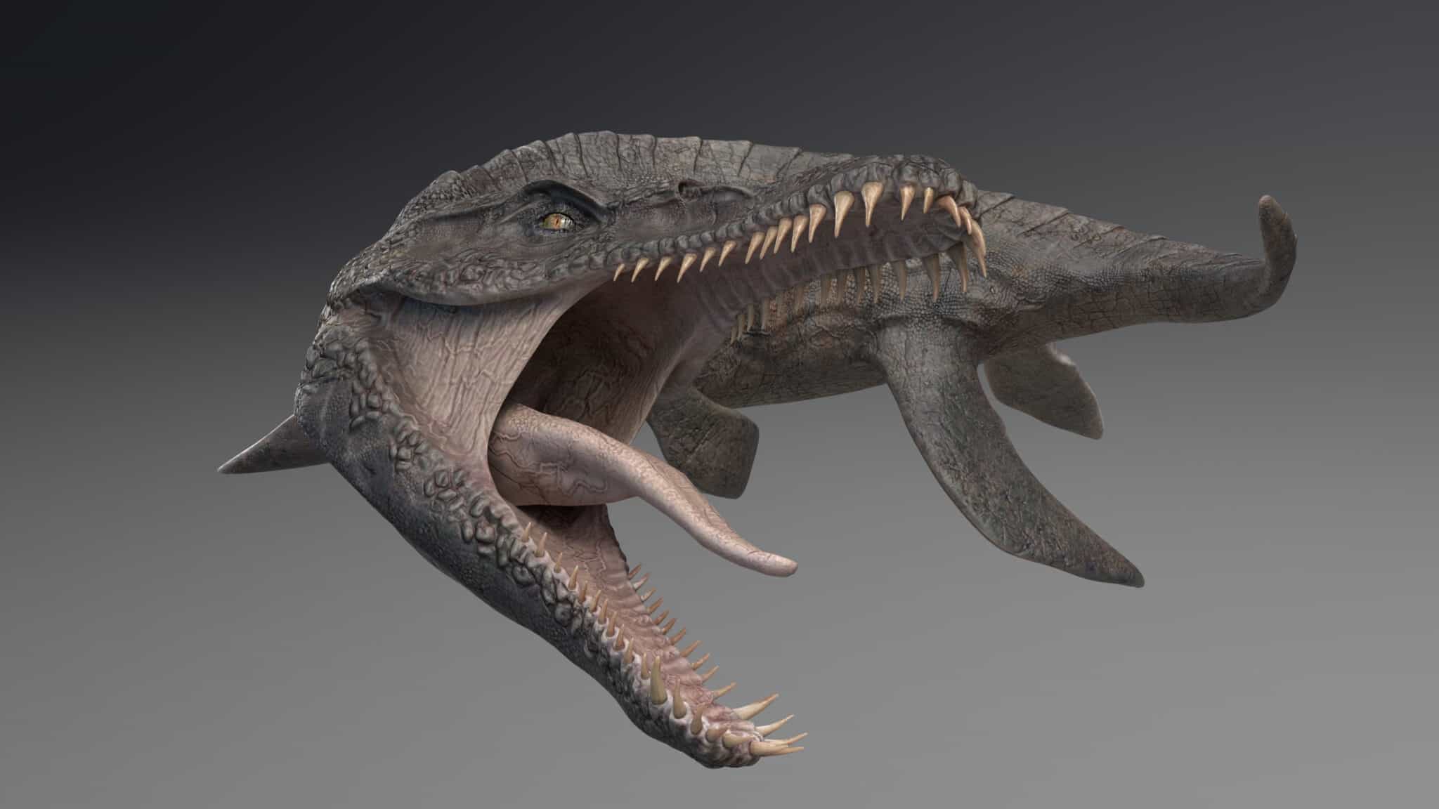 10 Massive Sea Monsters That Could Kill a Blue Whale - A-Z Animals